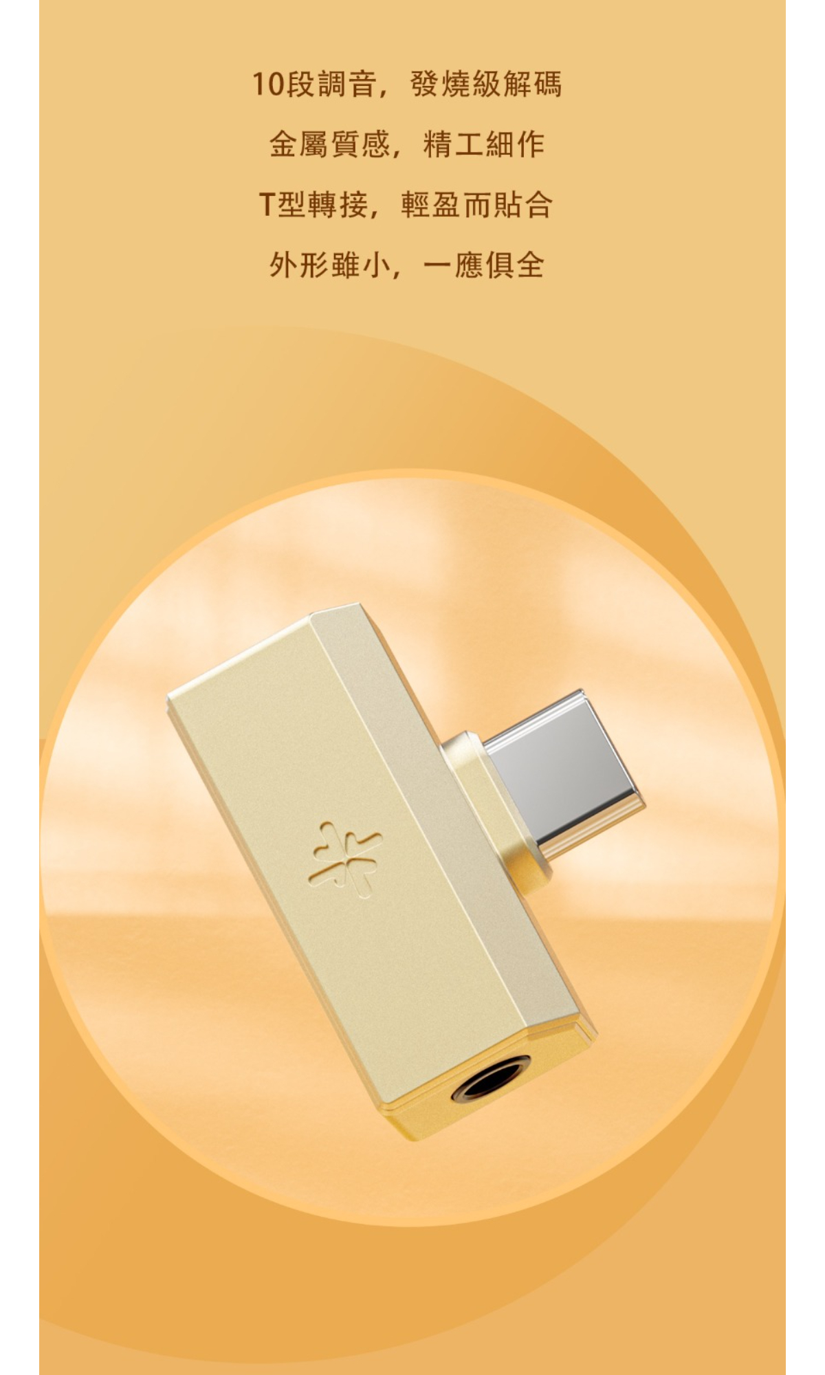 FiiO Snowsky TINY B (Decoder and Headphone Power Amplifier) | Fortress