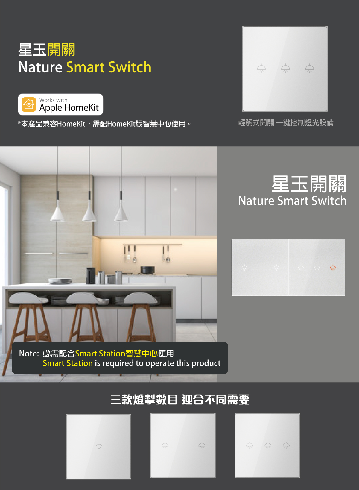 LifeSmart Nature Switch (2 Gang) | FORTRESS