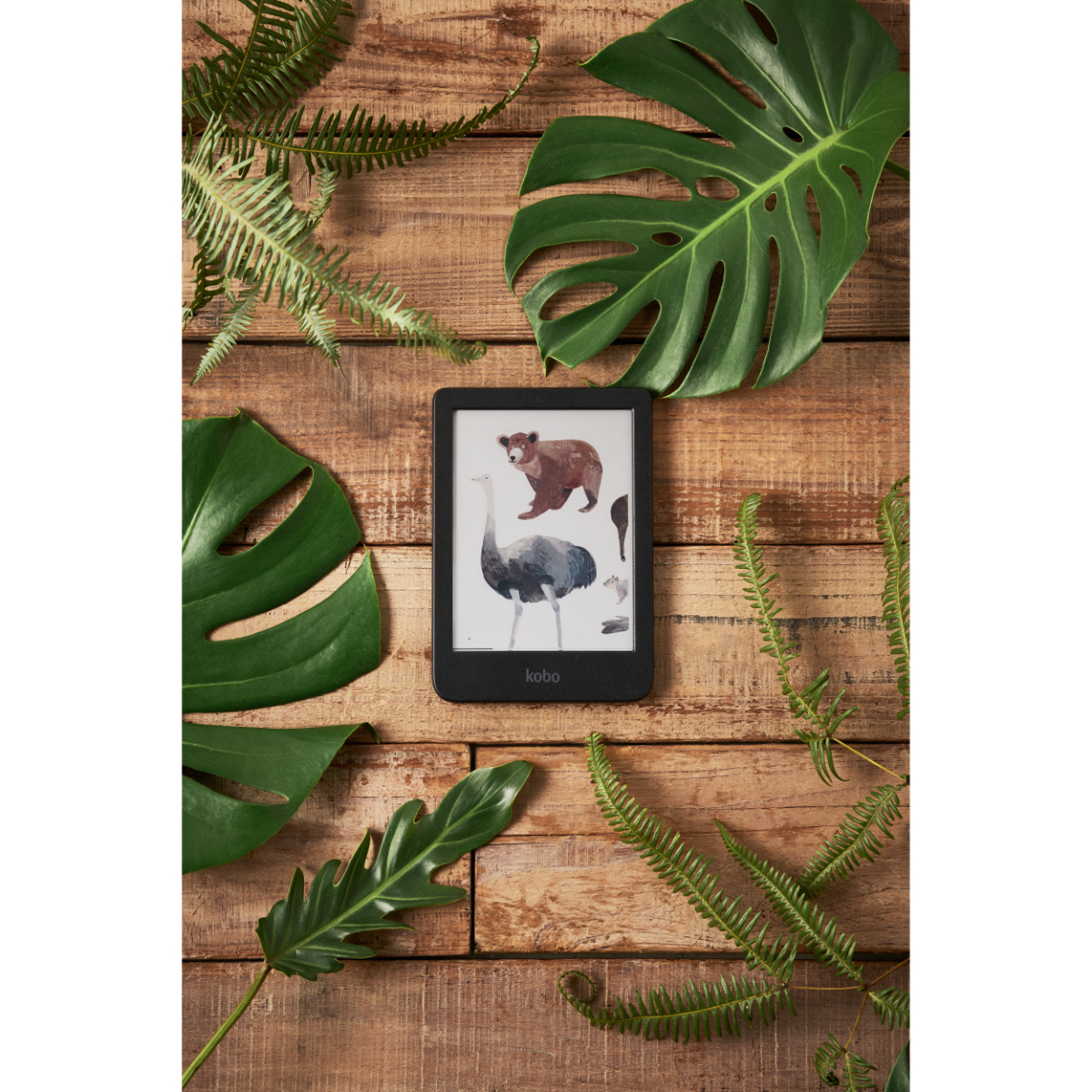 Rakuten Kobo Clara Colour 6" eReader | Fortress